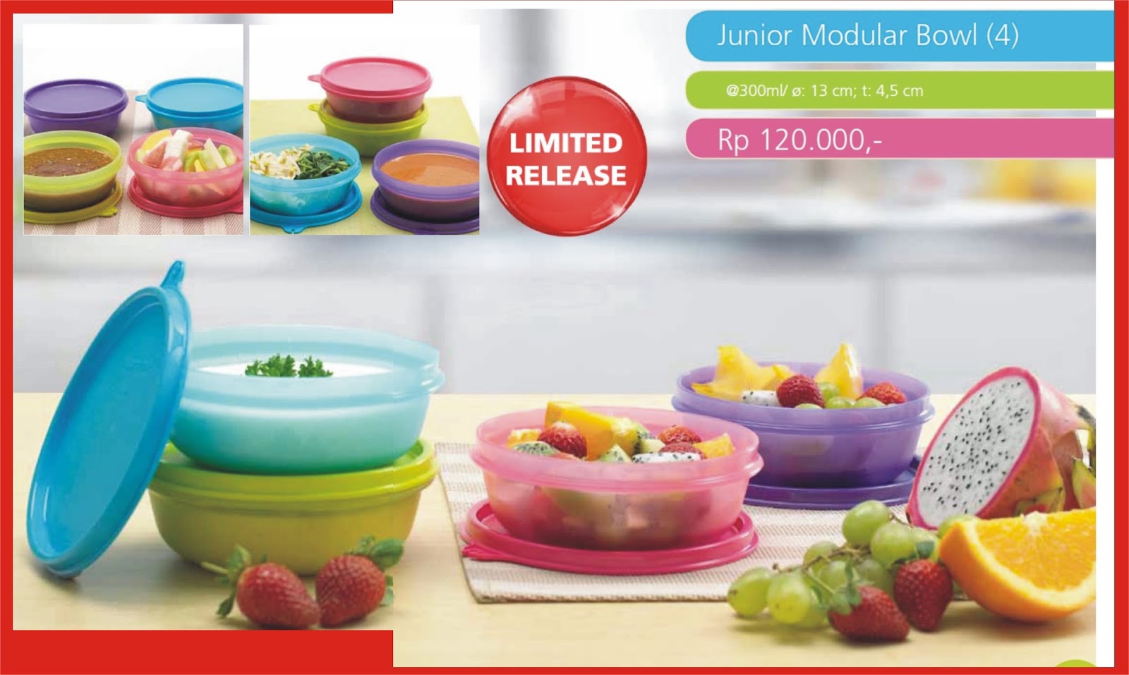 JUNIOR MODULAR BOWL (4) - tupperware solo - promo tupperware ...