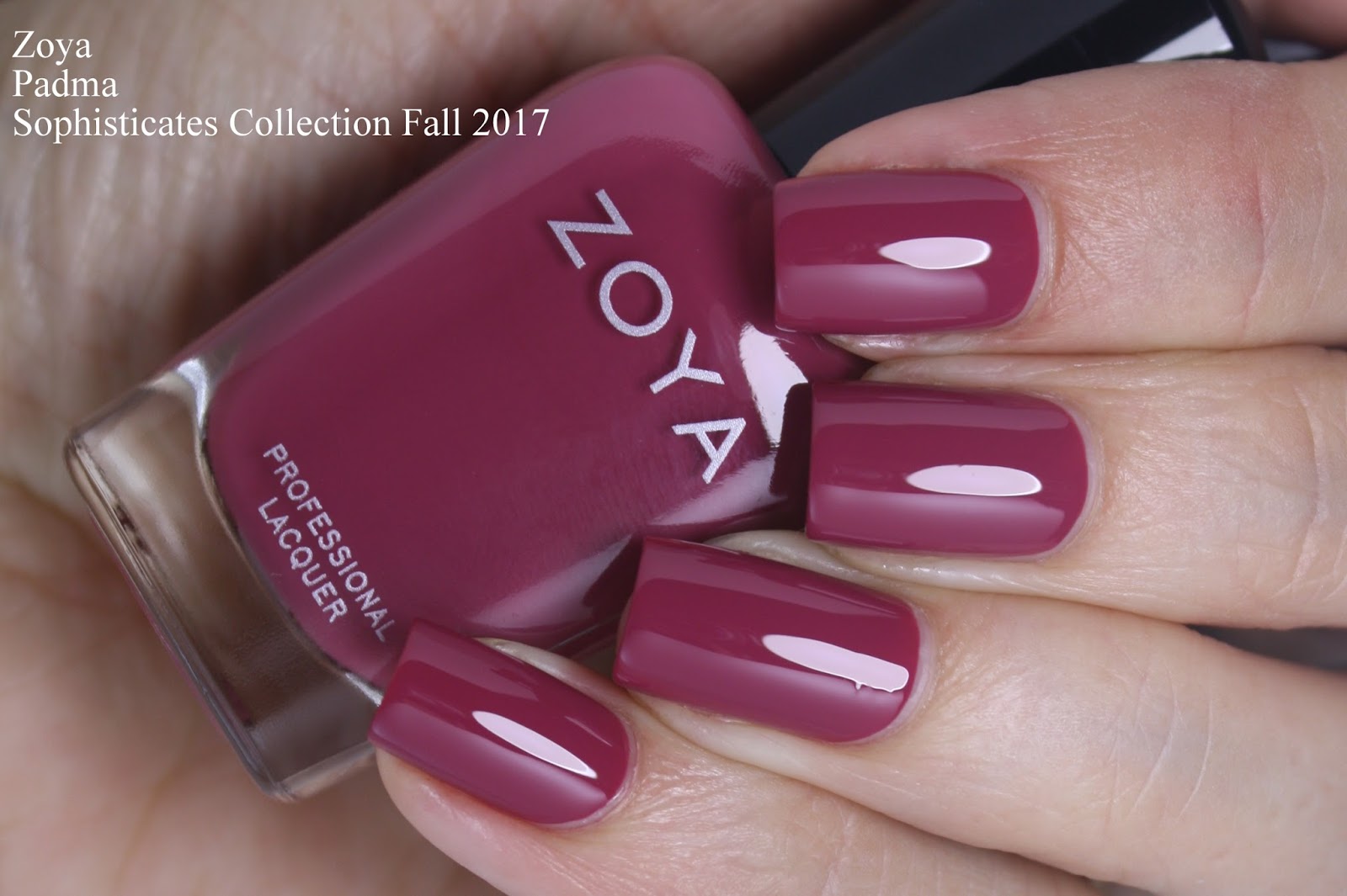 Grape Fizz Nails: Zoya Sophisticates Collection, Fall 2017