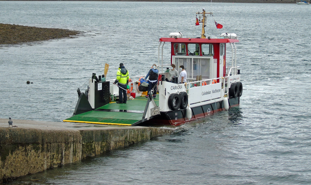 Clyde Naval Gazing: Carvoria