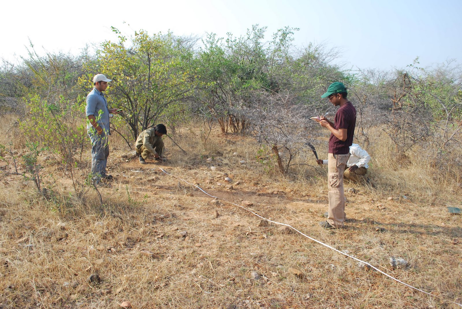 Iseebirds: In the pursuit of Jerdon's Courser