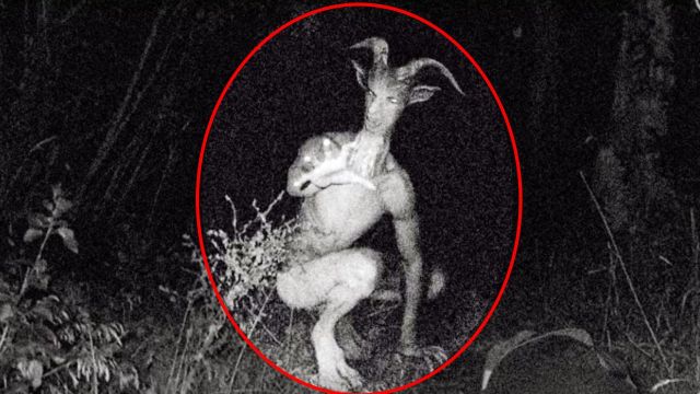 5 Real Goatman Encounters