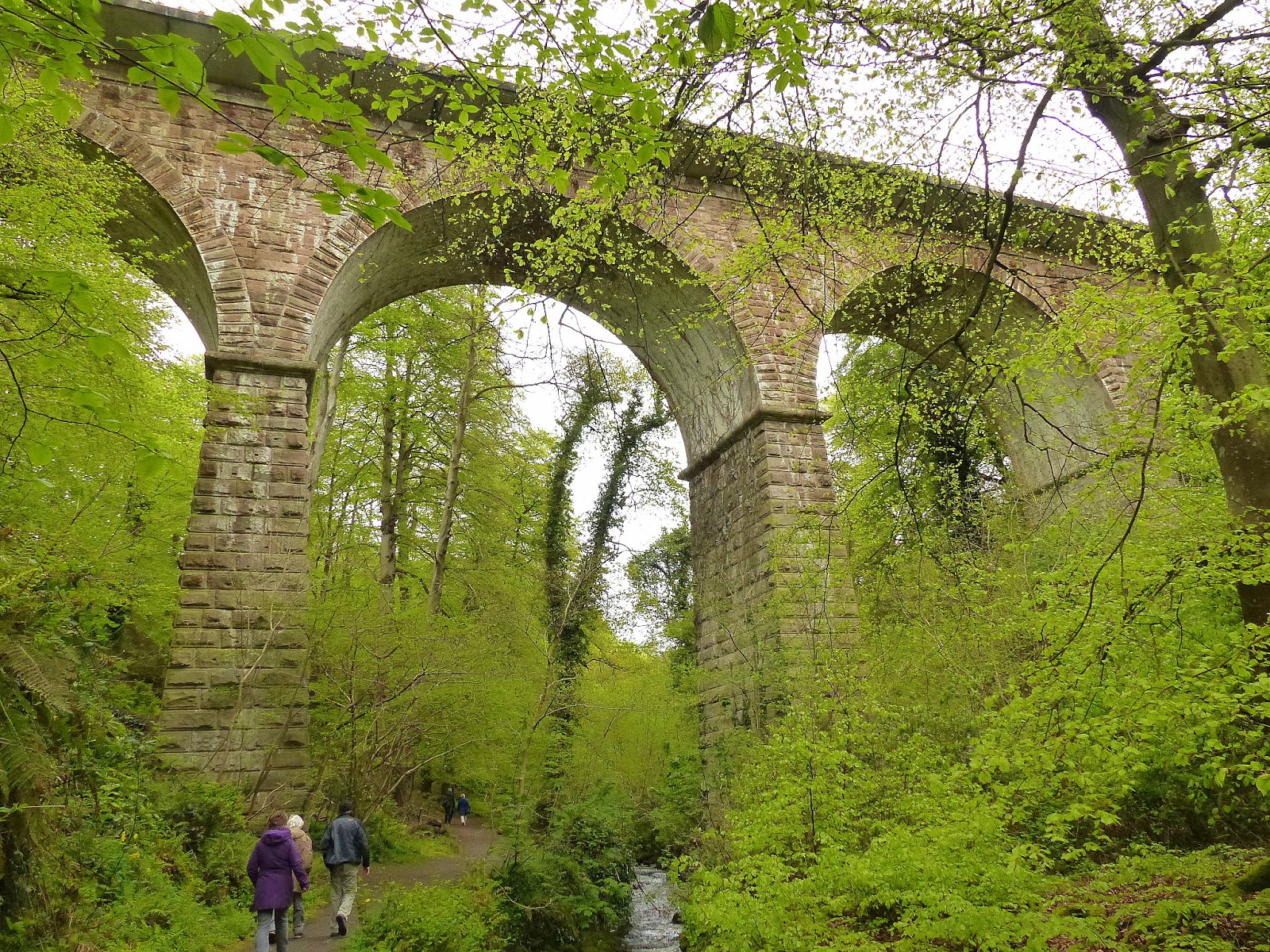 Birding For Pleasure: Crawfordsburn Country Park (Part 1)