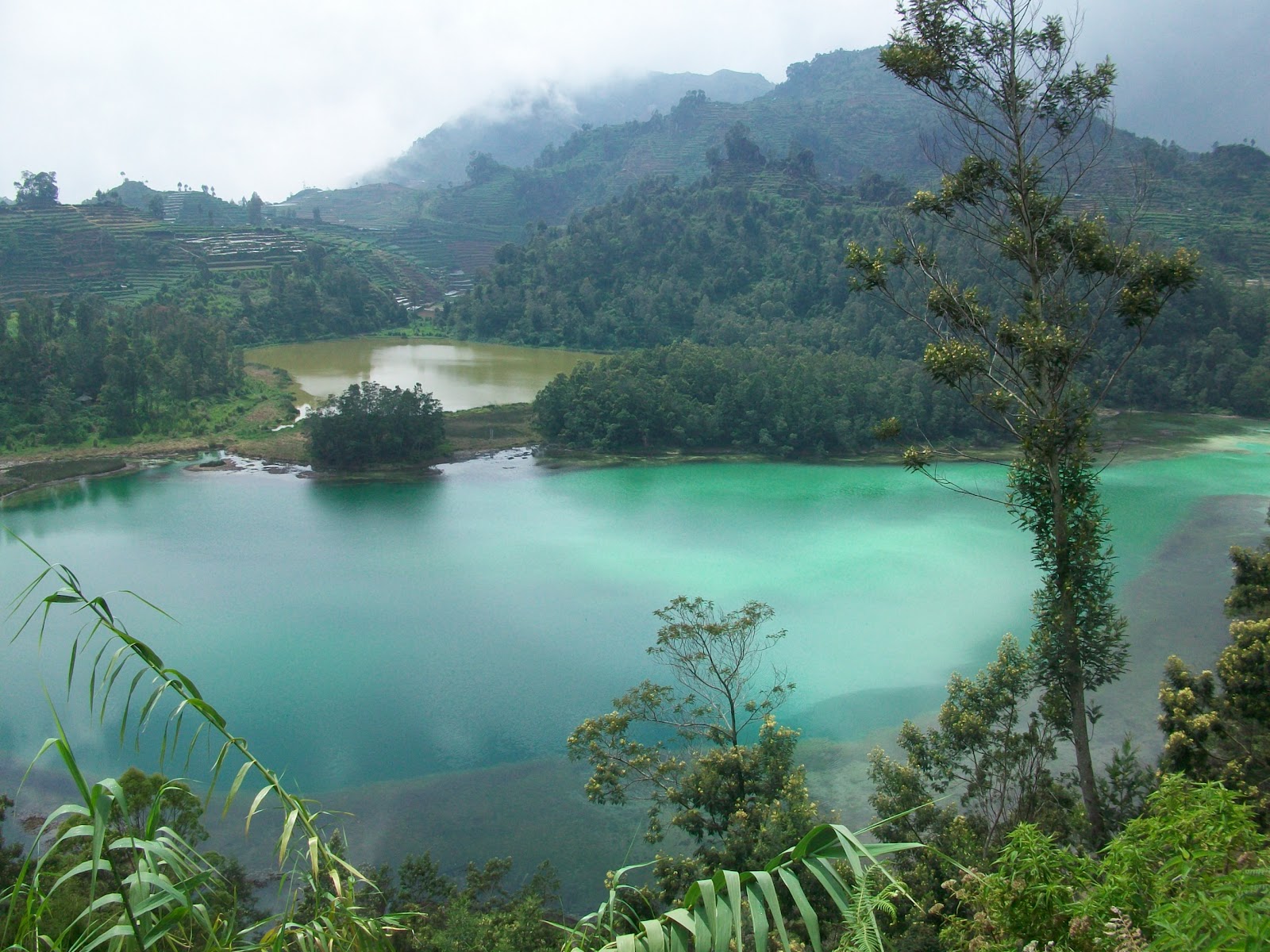 Telaga Warna- Dieng, Wonosobo, Central Java, Indonesia | Indonesian Travel