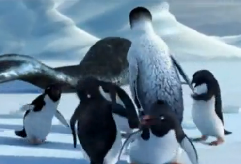 Funny Penguin Punjabi Tottay | Most Funny Videos And images