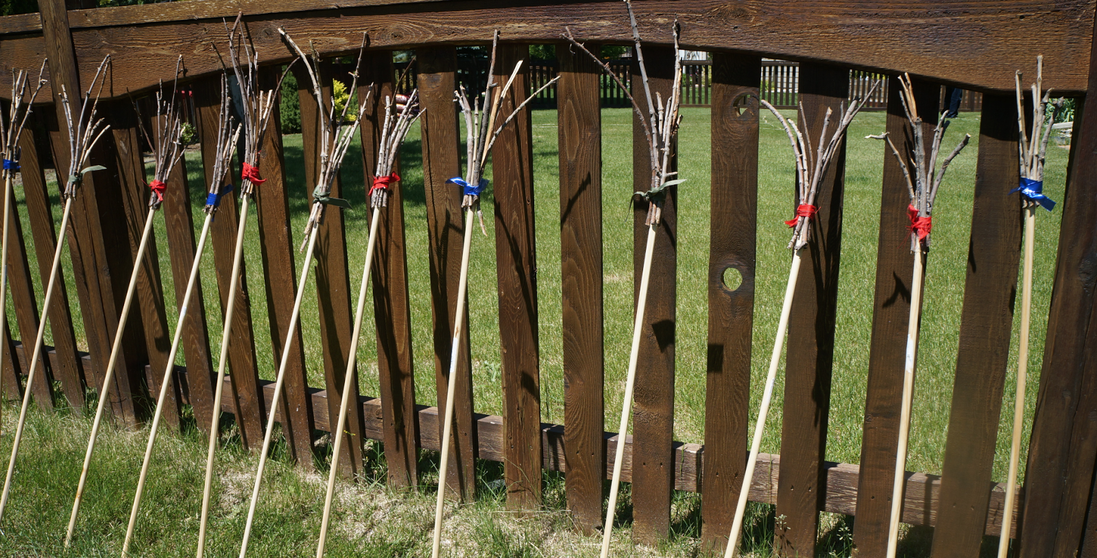 Quidditch Quaffle Ball