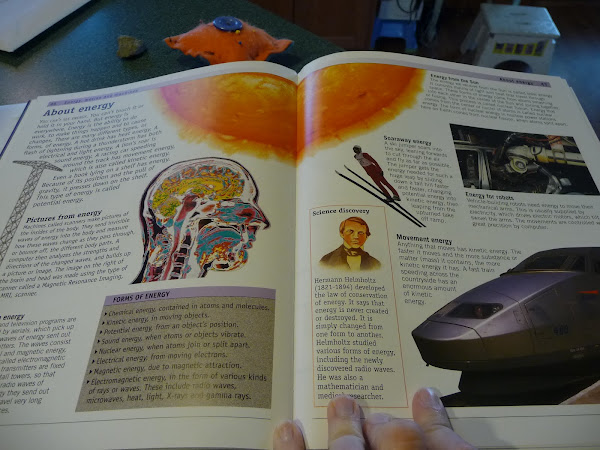 Making A Home: Book Review: World of Science