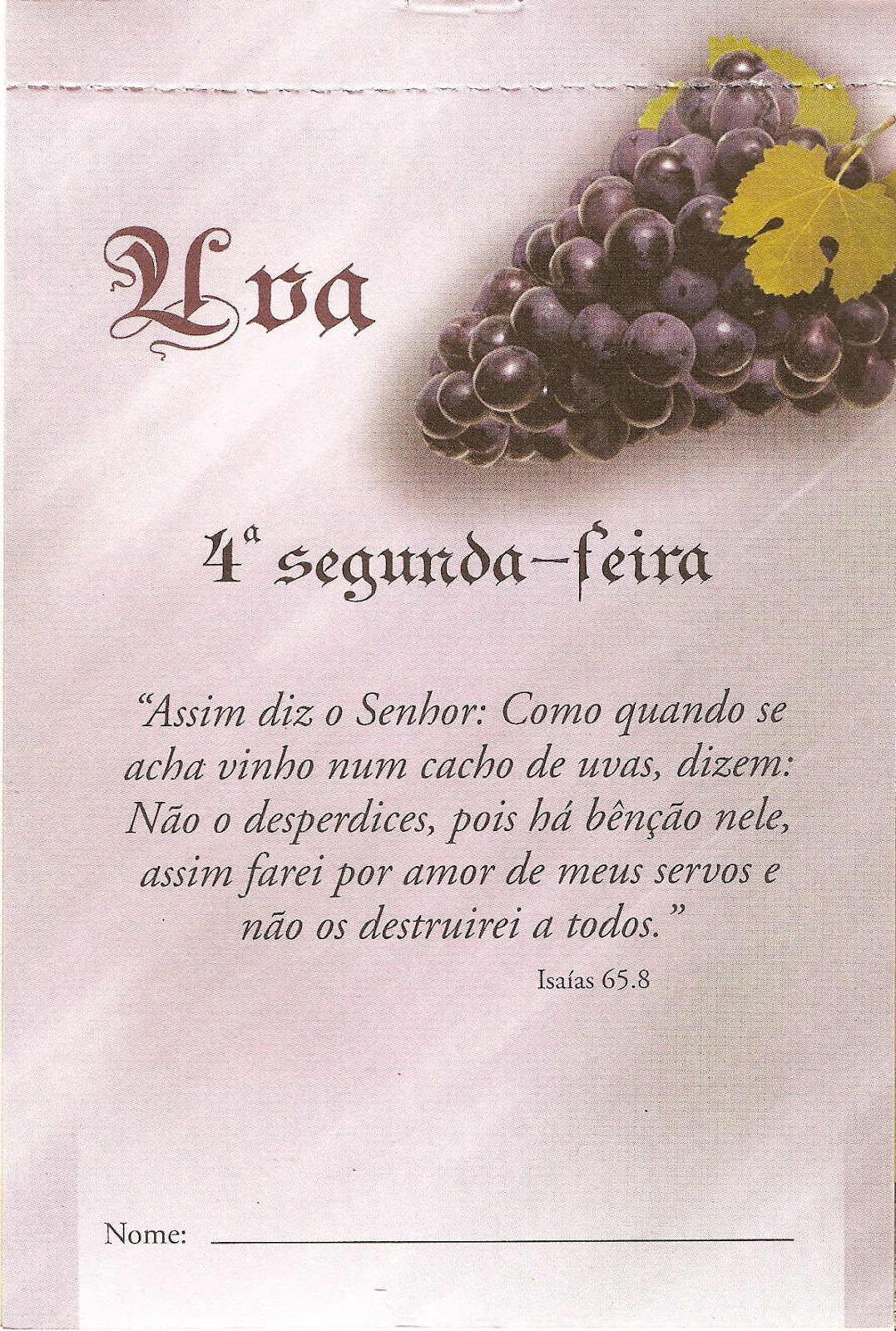 Folhetos - Silk IURD