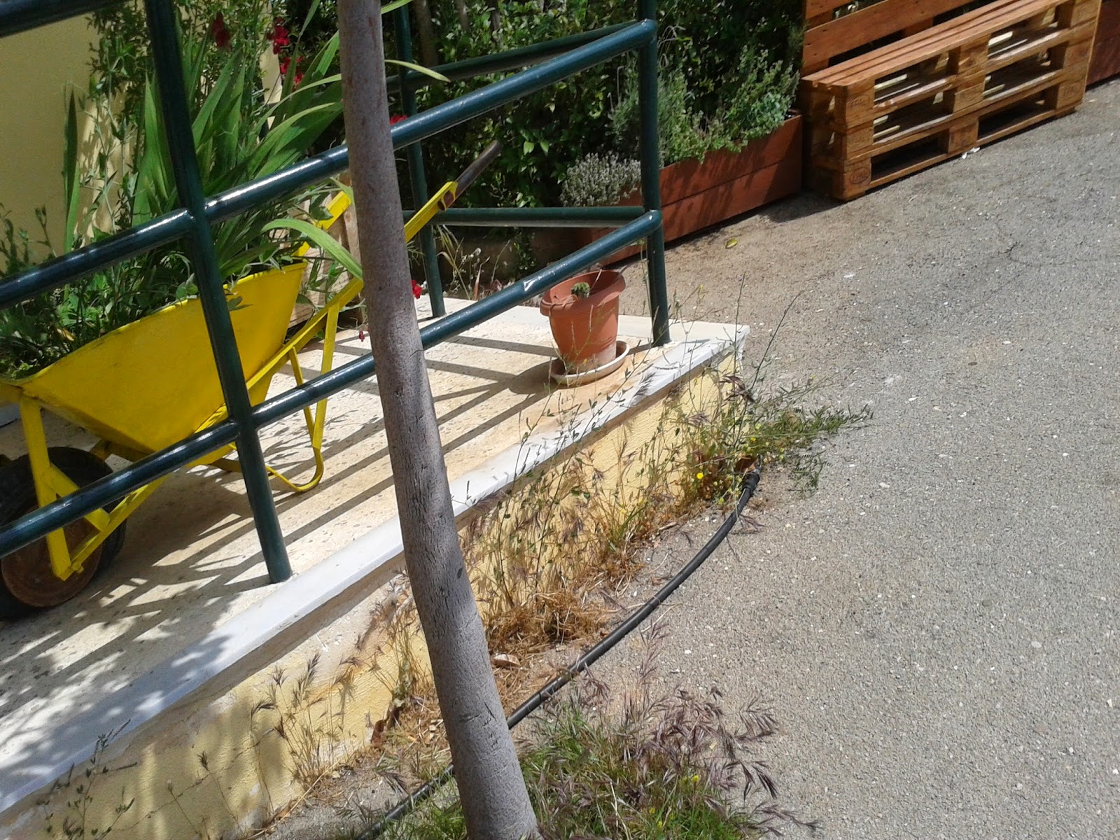 ΣΧΟΛΙΚΟΙ ΛΑΧΑΝΟΚΗΠΟΙ : ΟΙ ΚΗΠΟΙ ΤΩΝ ΣΧΟΛΕΙΩΝ ΤΗΣ Δ/ΣΗΣ Β/ΘΜΙΑΣ ΕΚΠ/ΣΗΣ ...