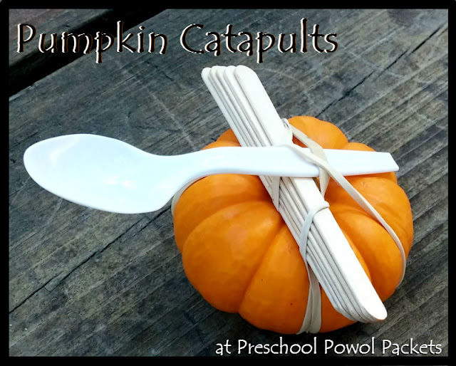 Pumpkin Catapults ~ Science Experiment & STEM Exploration Fun ...