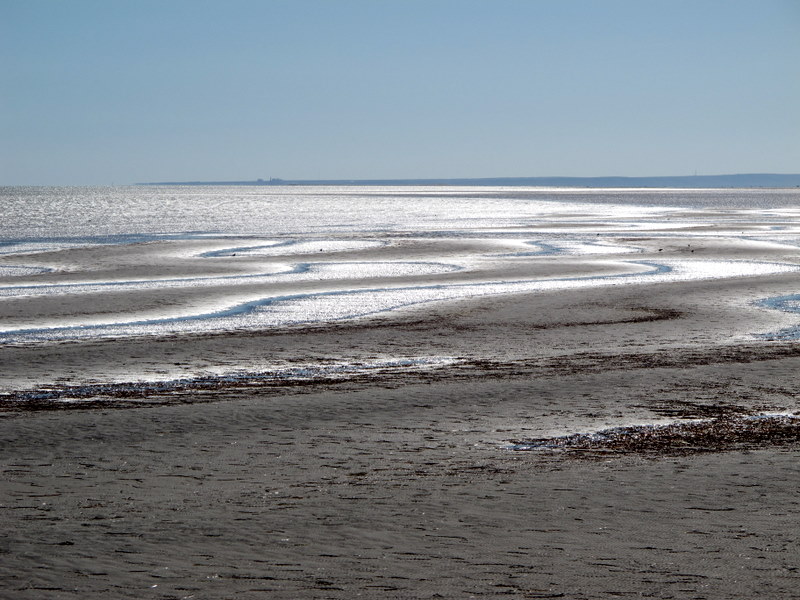 Tabubilgirl: The Longest Jetty in Australia?