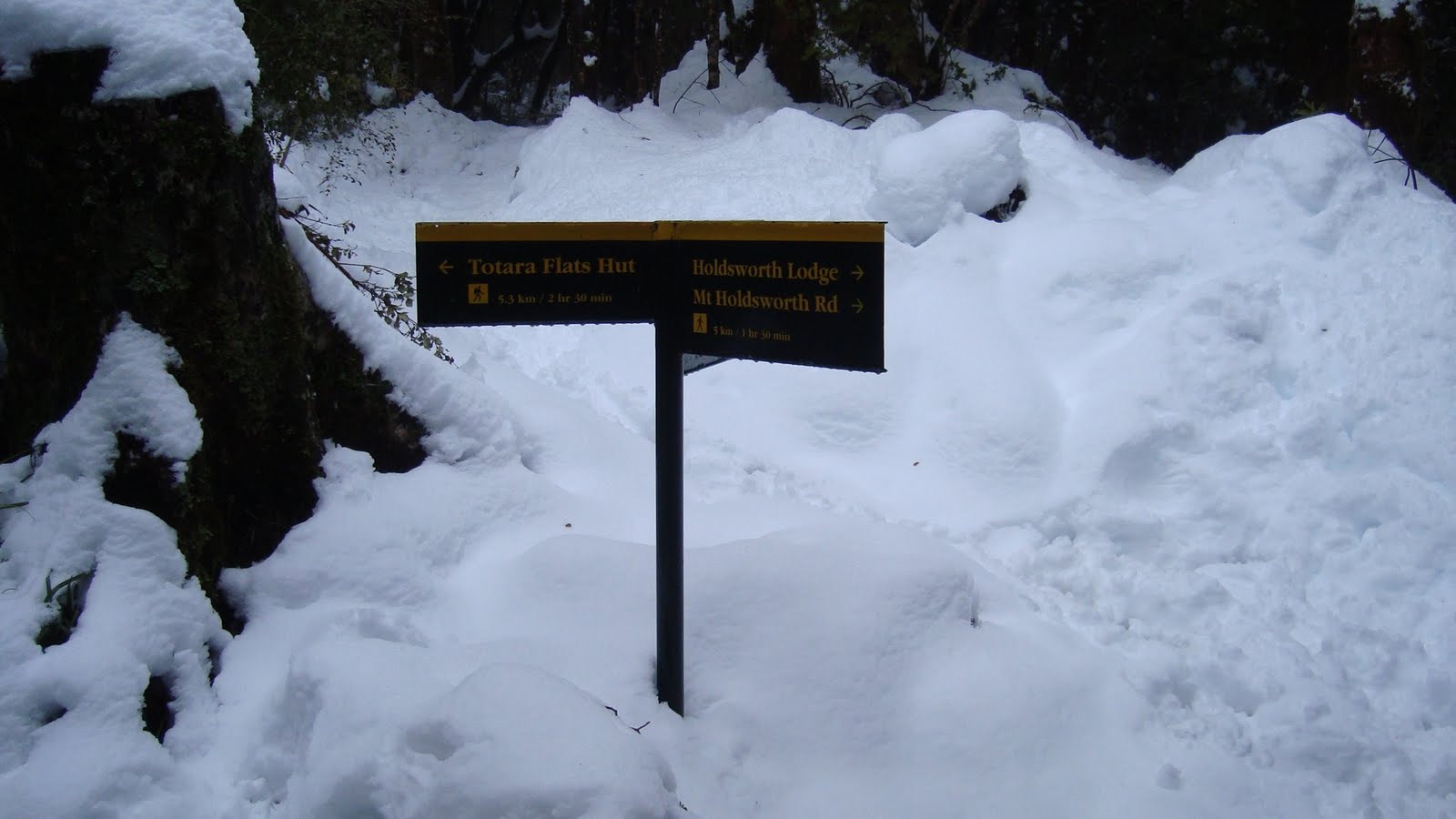 Tramping: Sayers Hut and Area