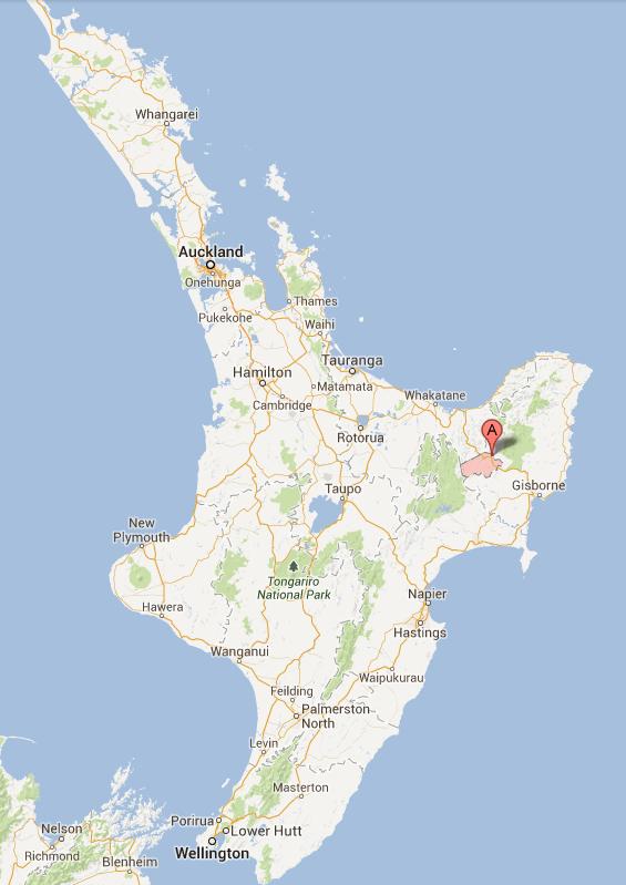 Fungimap's Blog: Fungal FUN in New Zealand