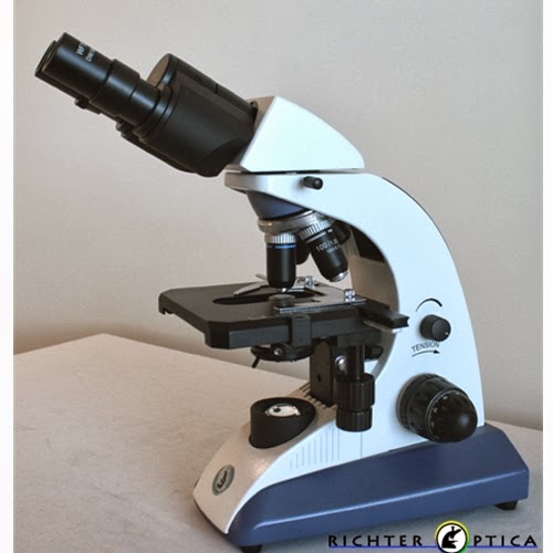 Microscope World Blog: Popular High School Biology Microscopes