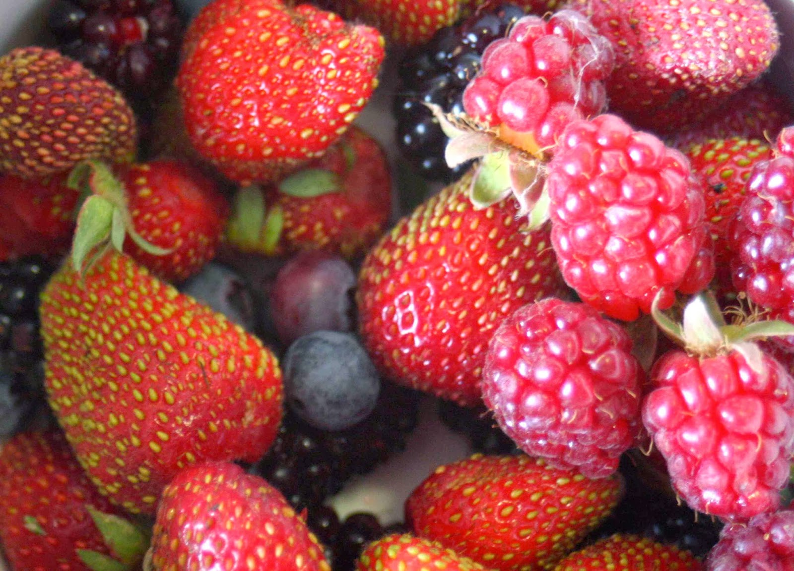 The Natural History and Antiquities of Lalor: The terrible burden of ...