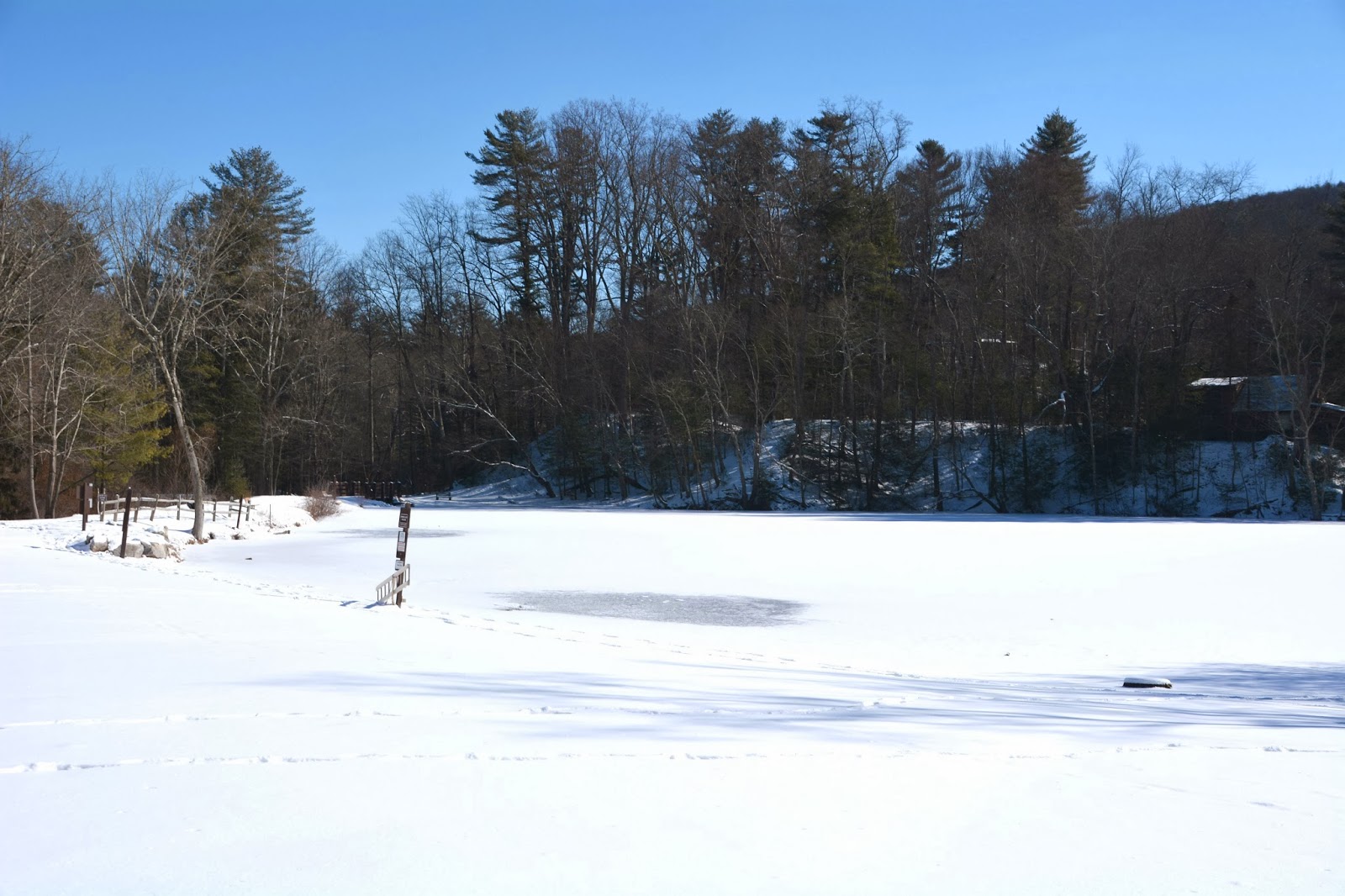 My World in Pennsylvania and Beyond: Laurel Lake and Fuller Lake at ...