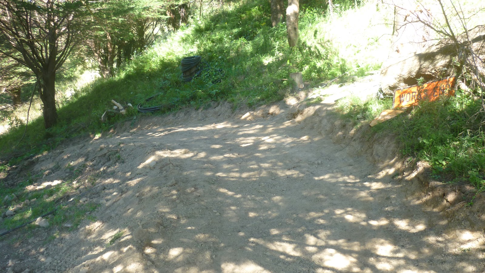 New-Zealand Adventure: Tondre des lamas à Cissy bay