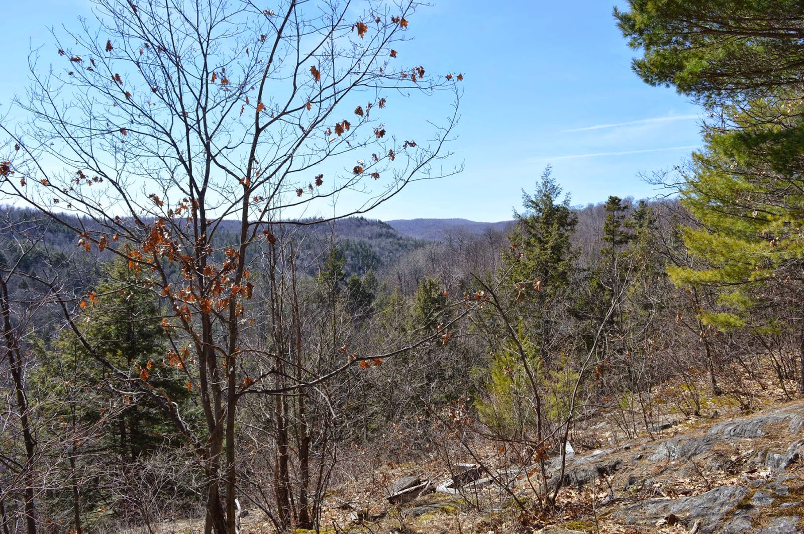 Family Hike: Les Chutes de Denholm