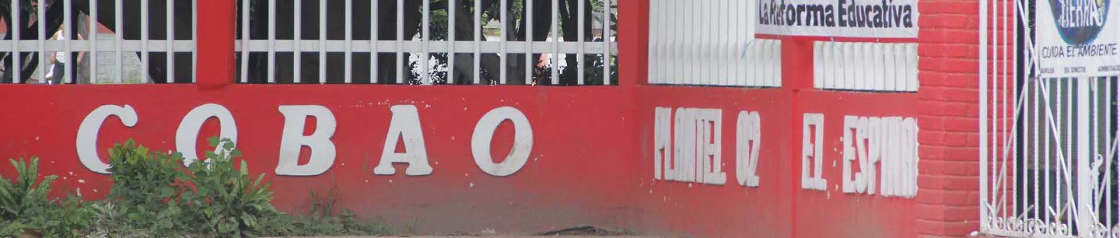 COLEGIO DE BACHILLERES DEL ESTADO DE OAXACA