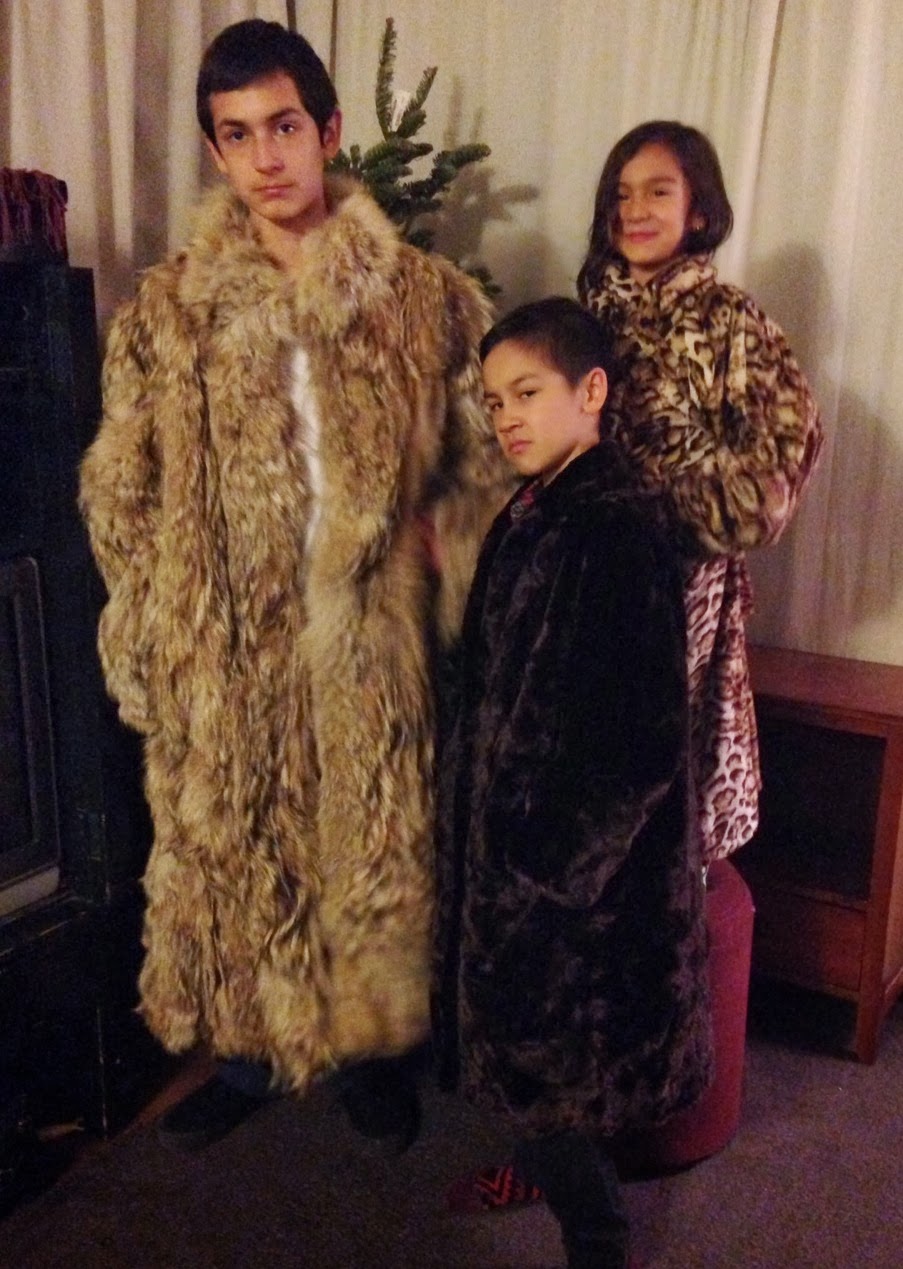 perich brothers (and sister): the furriest