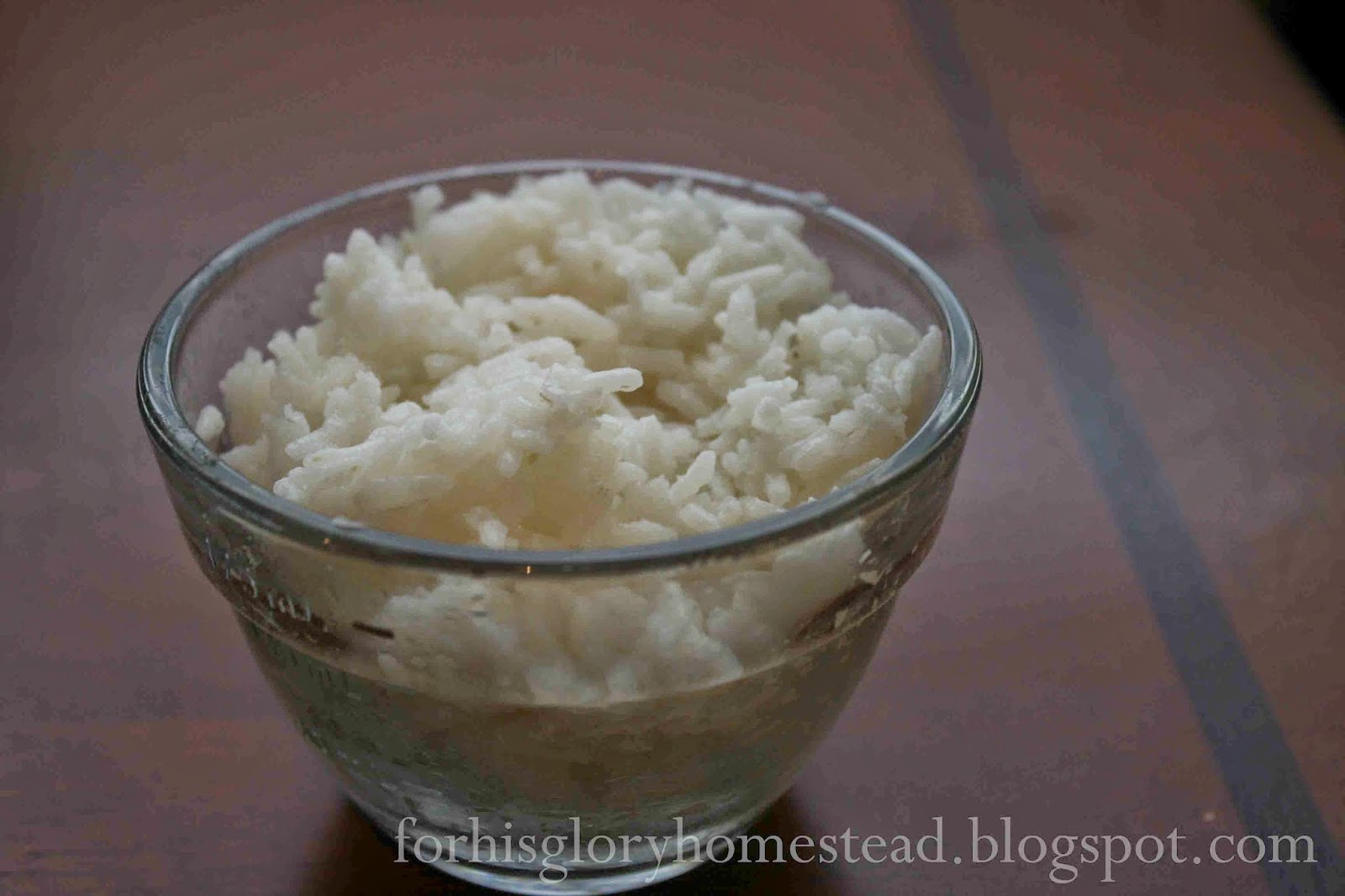 For His Glory Homestead: Homemade Rice Milk