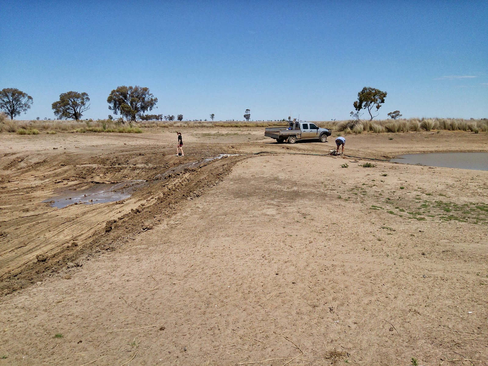 Chookyblue........: Dam desilting........