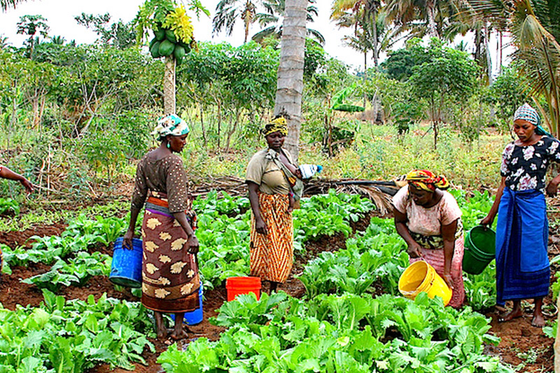 U.S. invests N8.6 billion to Boost Small-scale Farming in Nigeria ...
