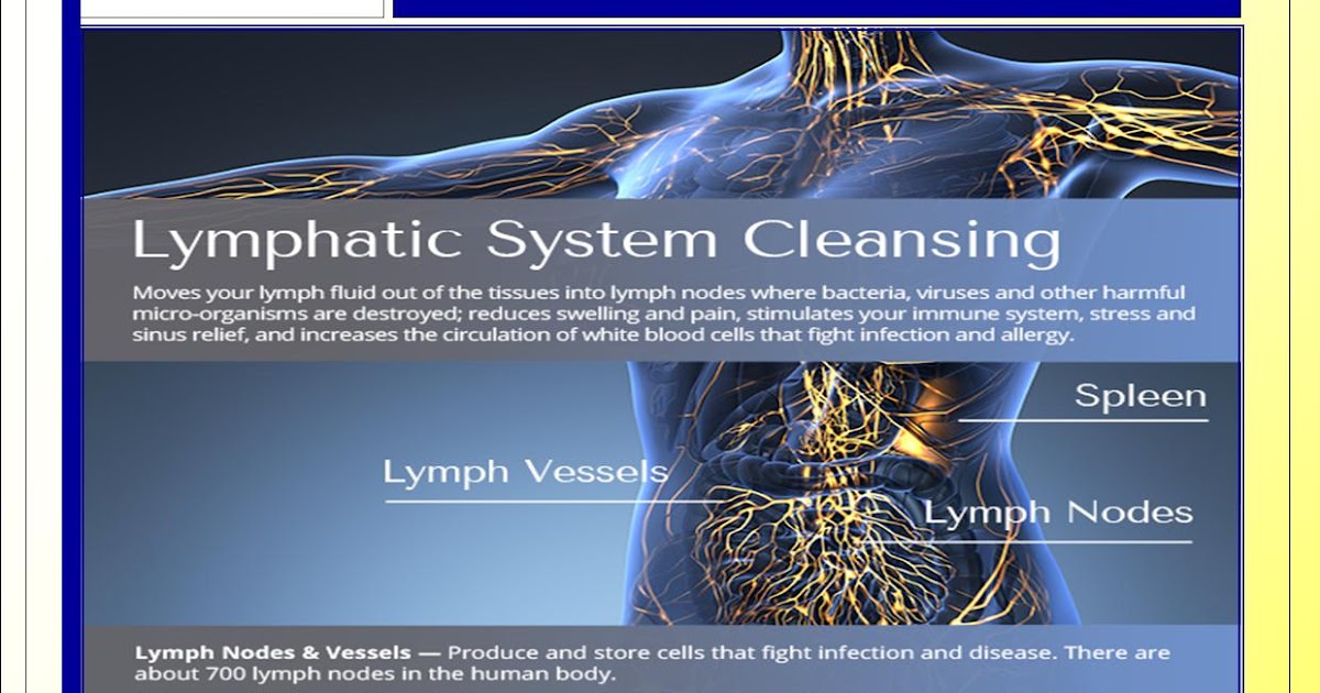 LYMPHATIC SYSTEMS - Medical Yukti