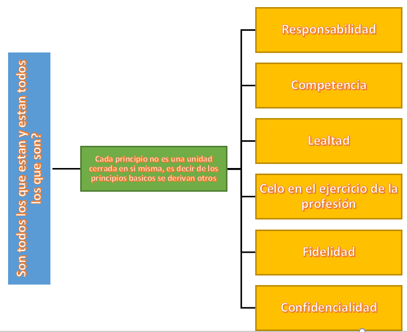 ¿Que son los principios?: ¿Que son los principios éticos?