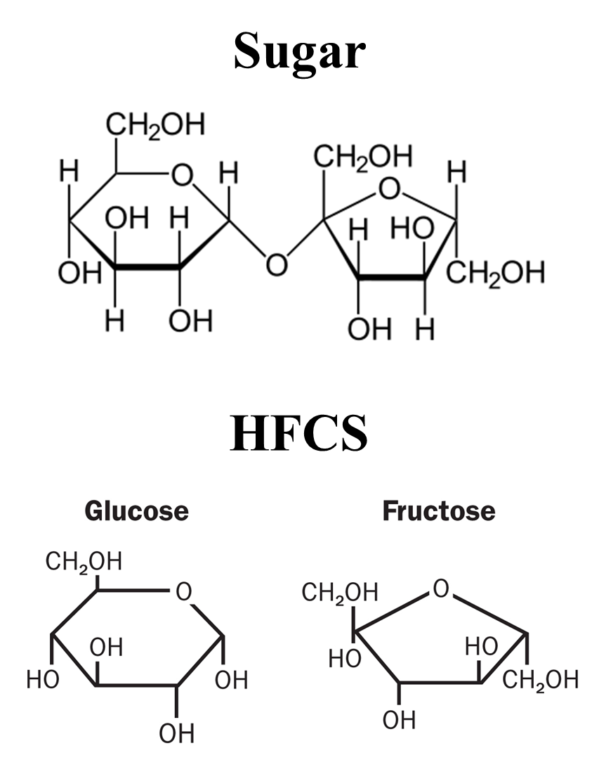Dr. Sam's Functional Medicine Blog: High Fructose Corn Syrup.....no, it's not just sugar, and ...