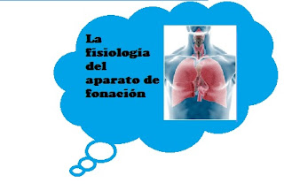 BLOG_TECNICA_VOCAL: EL APARATO DE FONACIÓN
