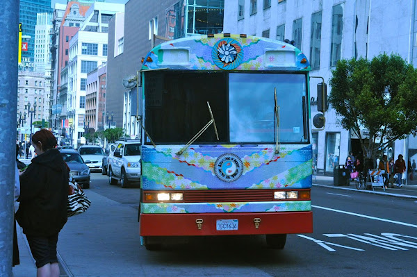 crazy little thing called blog: Magic Bus