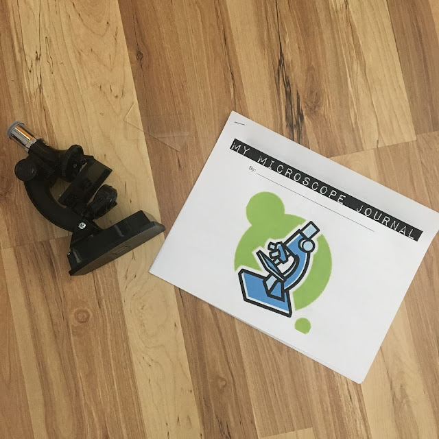 Out of the Right Brain: Summer Stem Challenge: Microscope Fun!