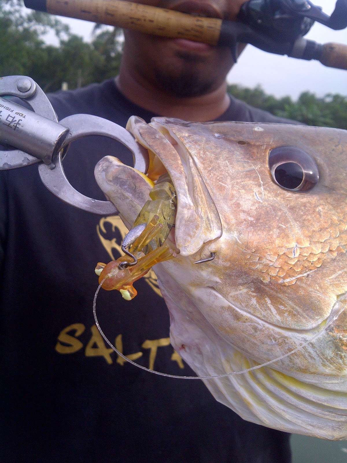 No.2 FW1 C&R Pond - Zerek Live Shrimp