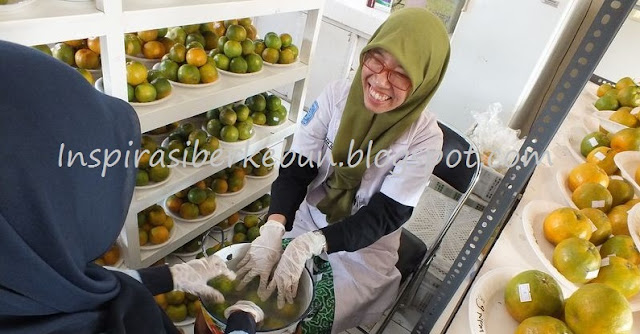 Cara Pengajuan Magang dan Bimbingan Penelitian di Balai Penelitian ...