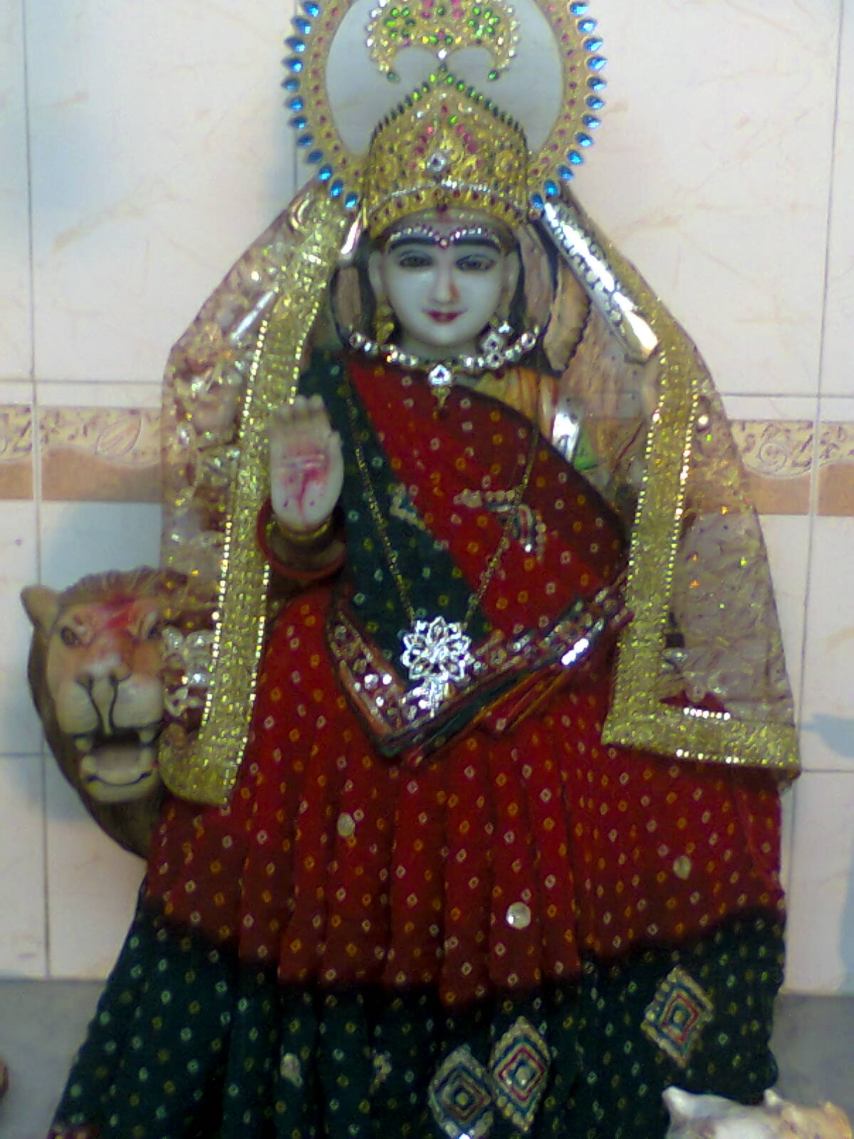 sikotar mata yuvak mandal: SHREE SIKOTAR MATA YUVAK MANDAL