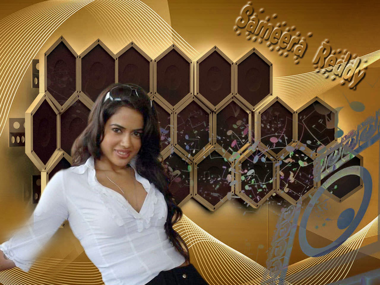 Total HD Wallpapers: Sameera Reddy HD Wallpapers