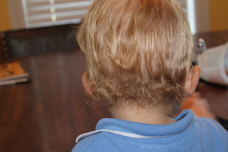 Titus Tweekly: 1st Haircut