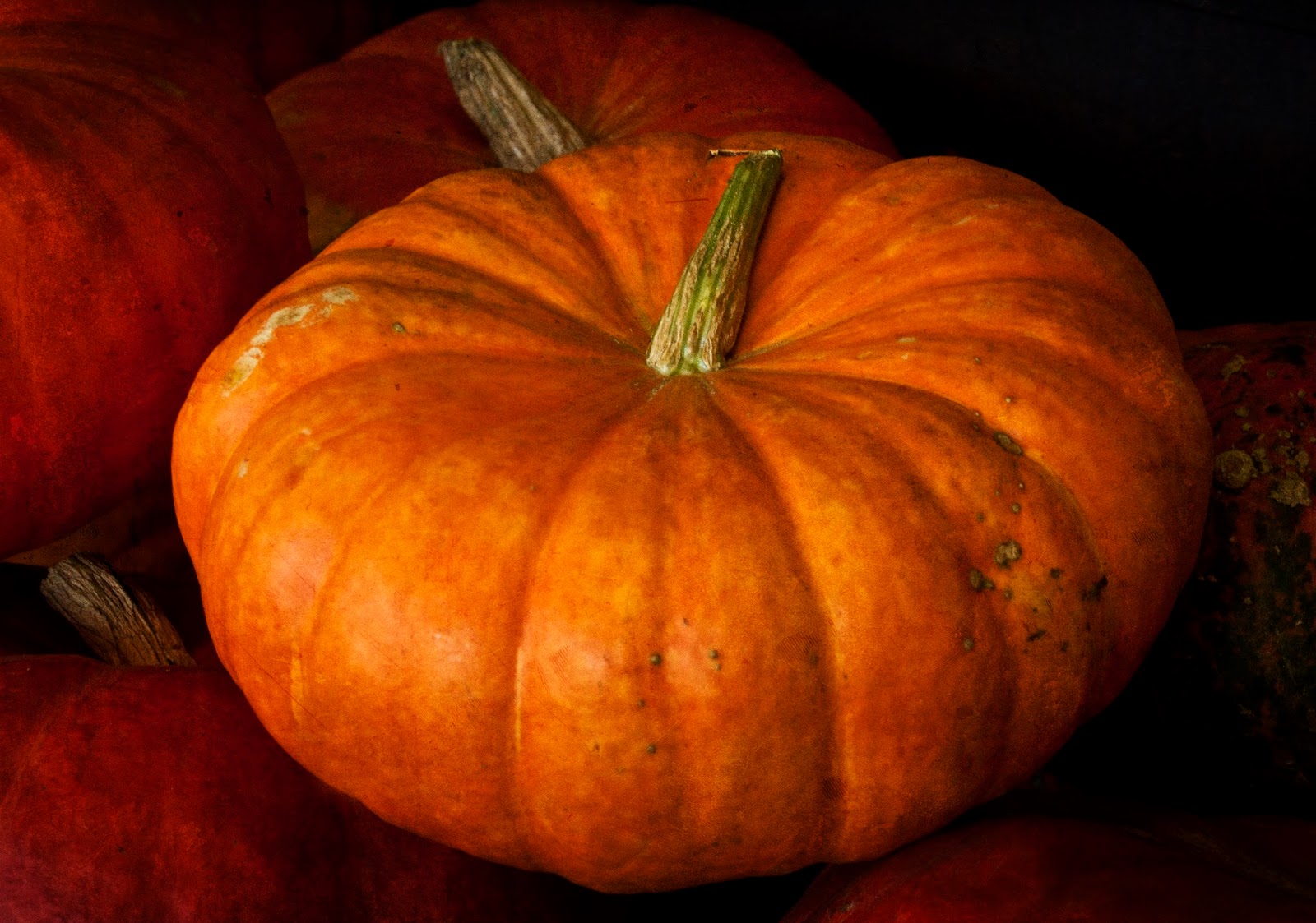 Medicucina: Zucca mon amour
