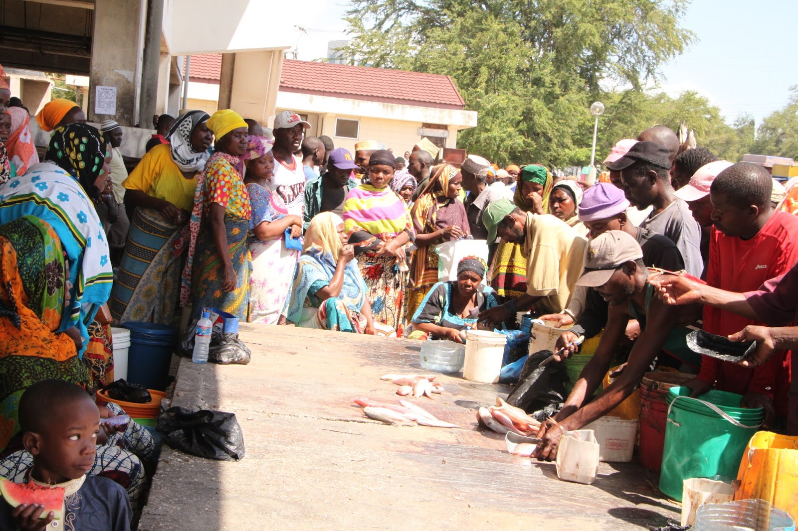 BEI YA SAMAKI SOKO LA FERI JIJINI DAR ES SALAAM YASHUKA