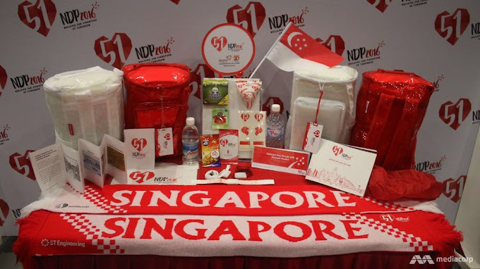 Singapore Celebrates Unity and Outlook to the Future on their 2016 ...