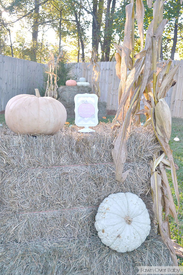 Fawn Over Baby: McKenzie Turns Two! A Pumpkin Patch Harvest Theme ...