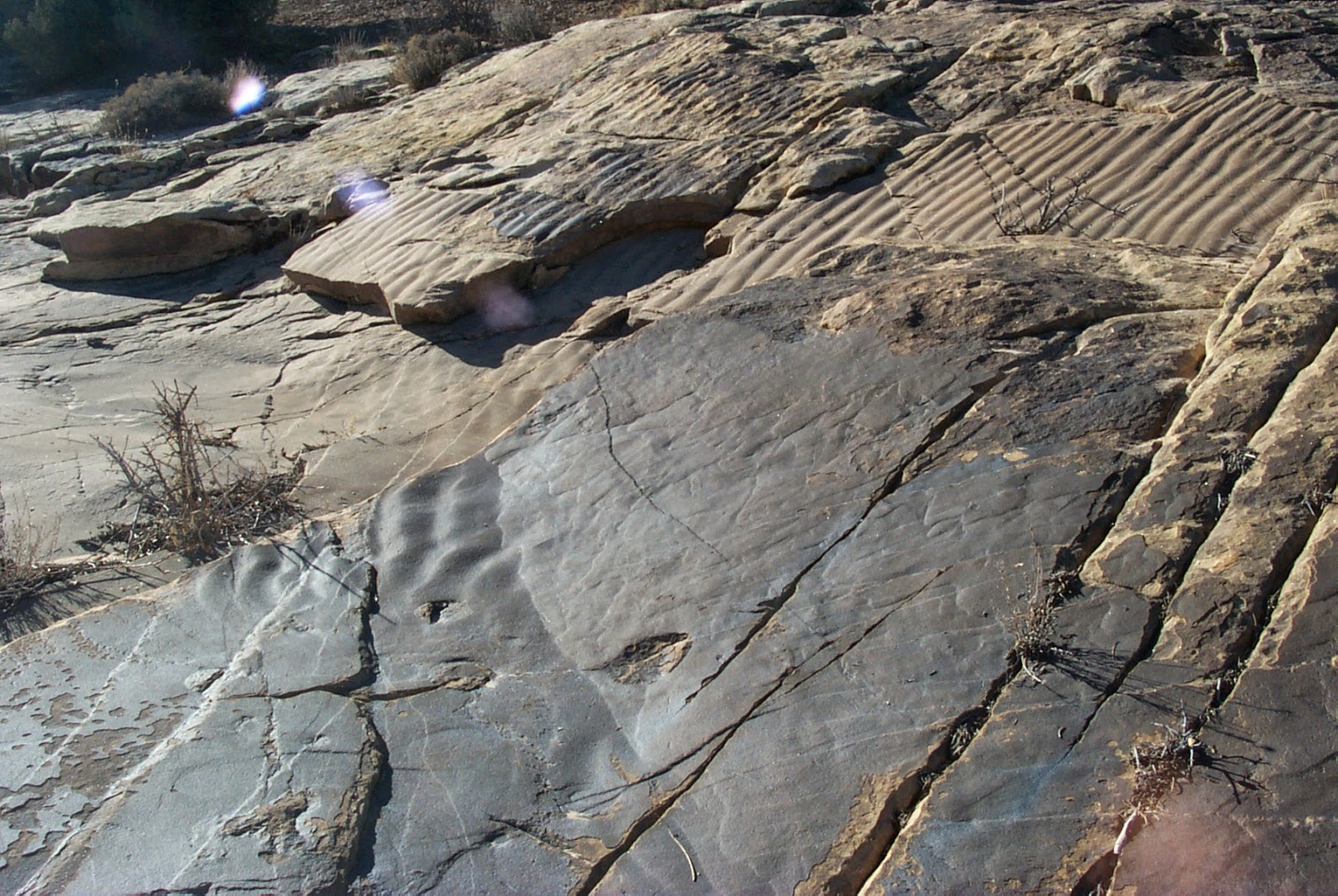 Urth Picture Post: Some Features on the Nugget/Navajo Sandstone, San ...