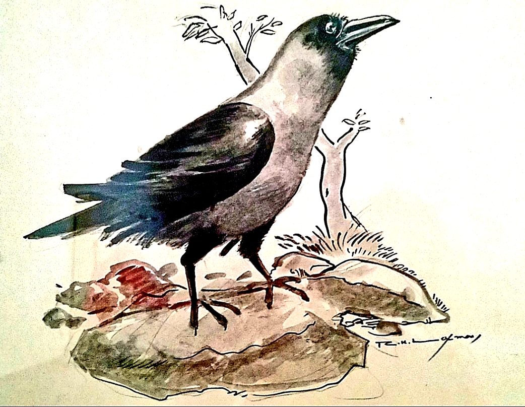R.K. Laxman's Cartoons: Crows
