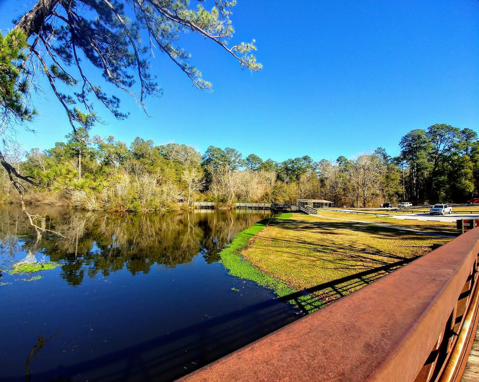 Another Mile Another Destination Blog: Magnolia Springs State Park ...