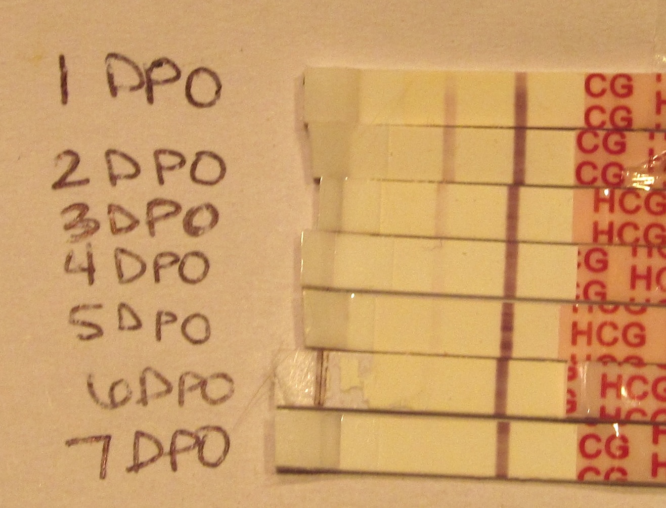 Progressing in Circles: Trigger is Gone