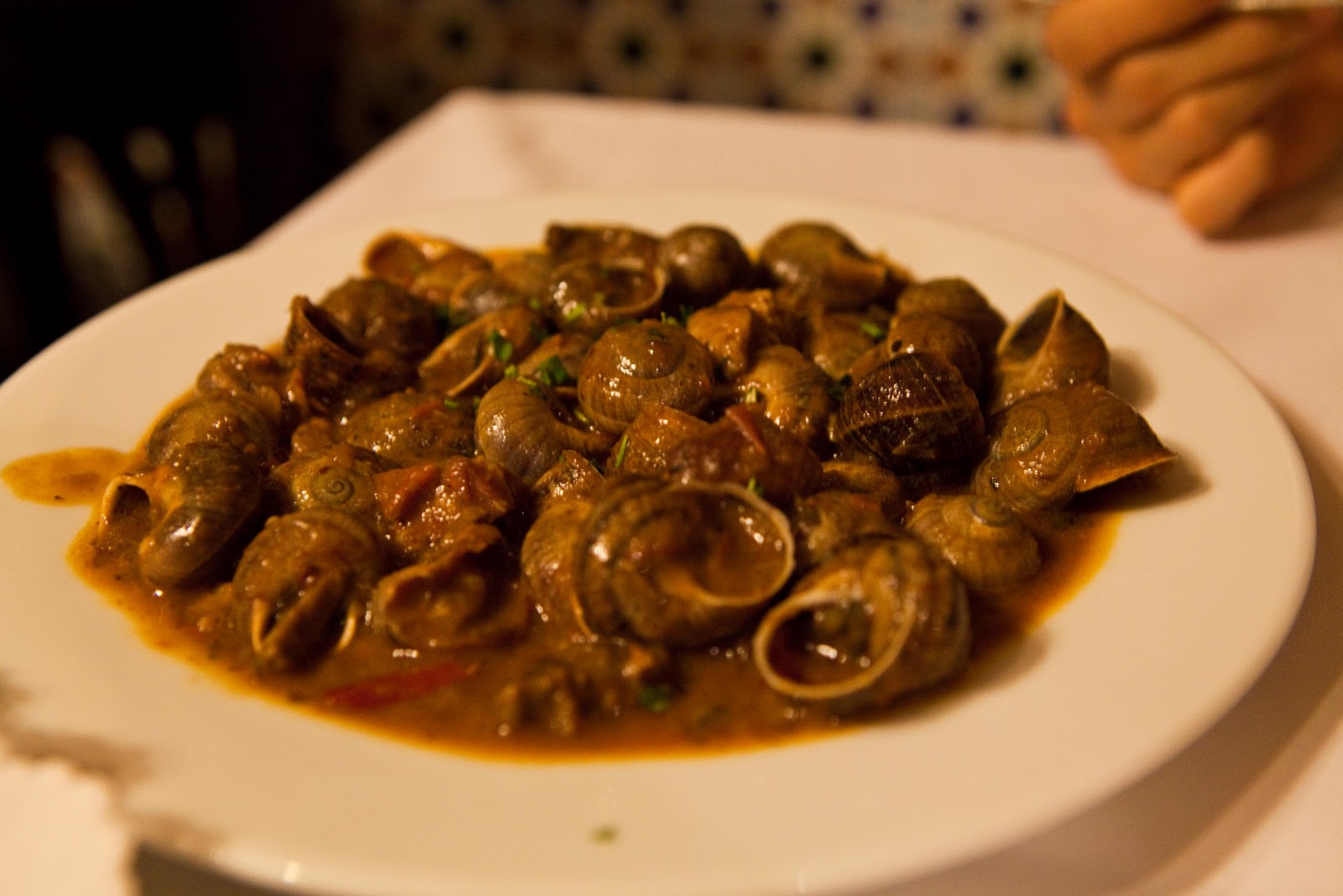 Life of a Lil Notti Monkey: Los Caracoles, Barcelona