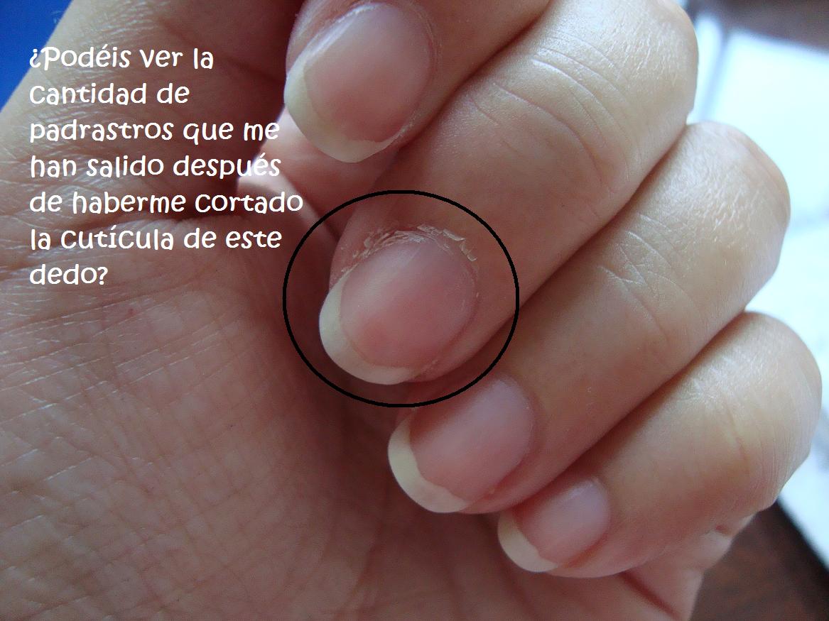 Armonía, Salud y Vida: Por qué NO ES BUENO cortarse las cutículas
