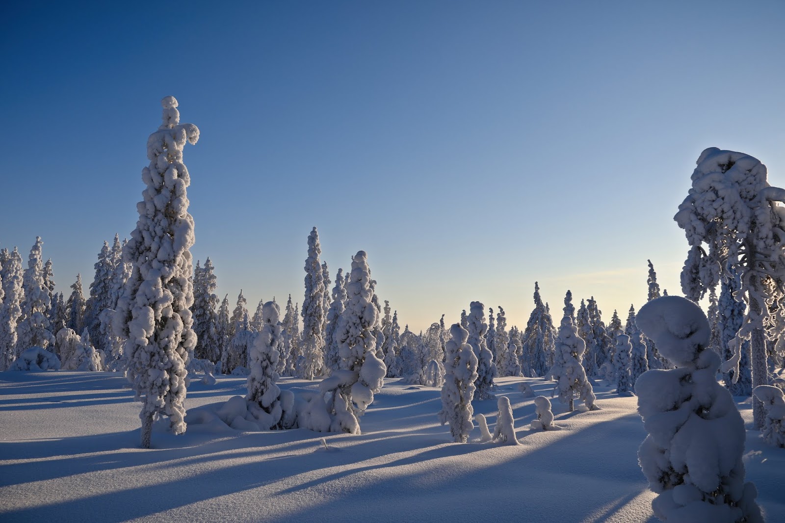 Kuoppavaara talvella