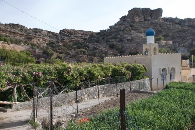 Enfleurage: Omani Roses