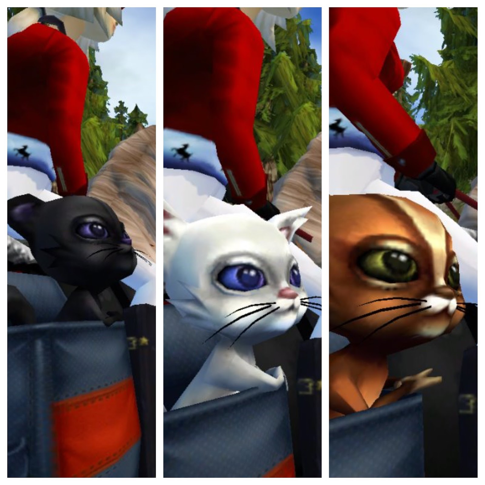 SSO - Luna Catsea: Jamie potrzebuje naszej pomocy + nowe wiewiórki!